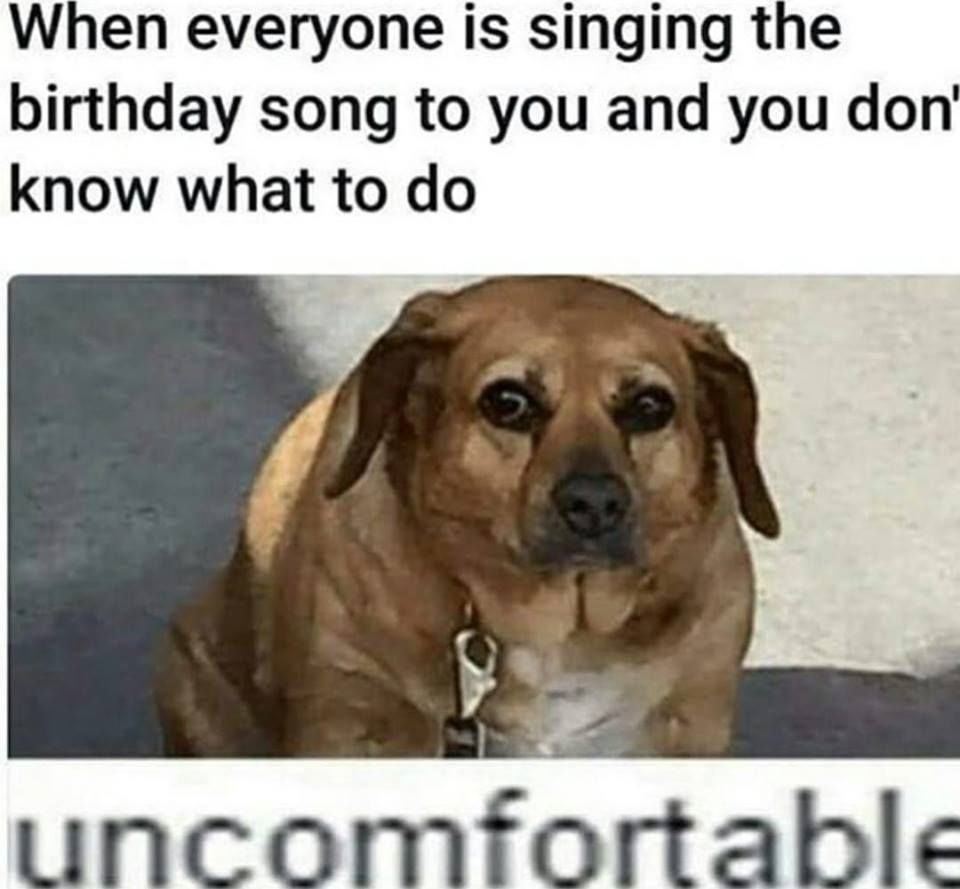 When Everyone Is Singing The Birthday Song To You And You Don't Know ...