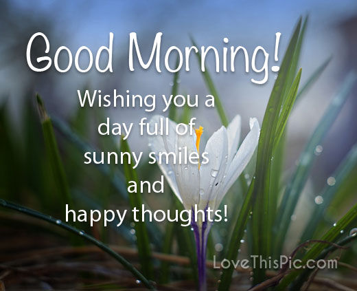 Wishing You A Day Full Of Sunny Smiles Pictures, Photos, and Images for ...