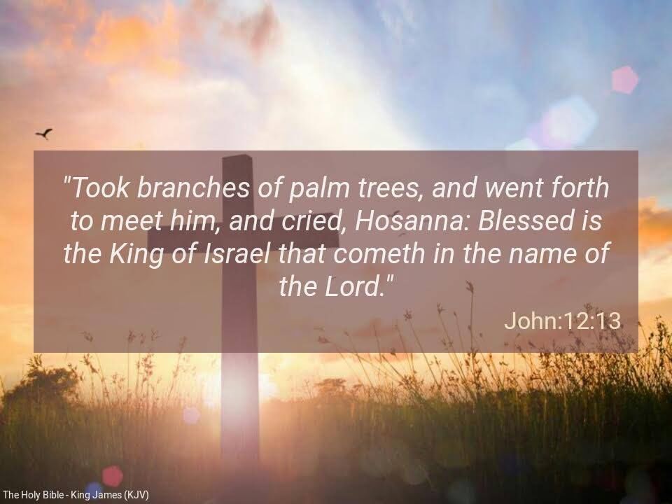 John 12:13 Pictures, Photos, and Images for Facebook, Tumblr, Pinterest ...