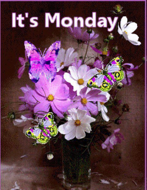 Floral Image For Monday Pictures, Photos, and Images for Facebook ...