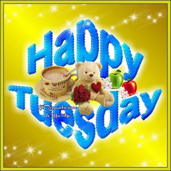 Happy Tuesday Bear Pictures, Photos, and Images for Facebook, Tumblr ...
