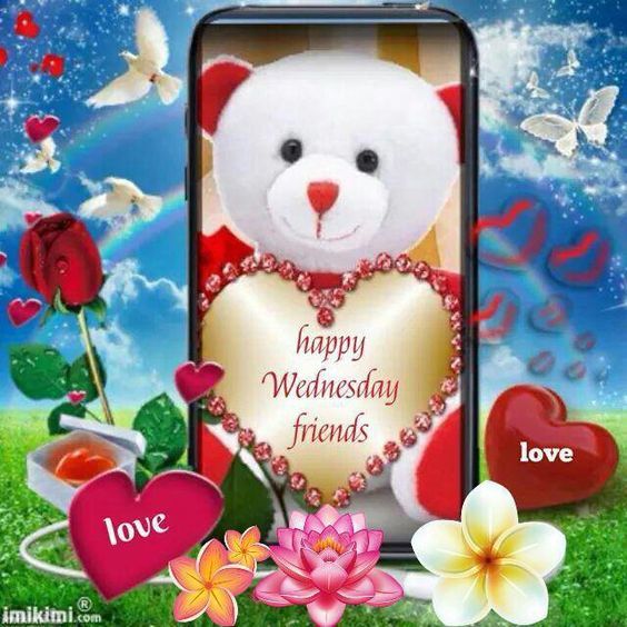 Bear Cover Happy Wednesday Graphic Pictures, Photos, and Images for ...