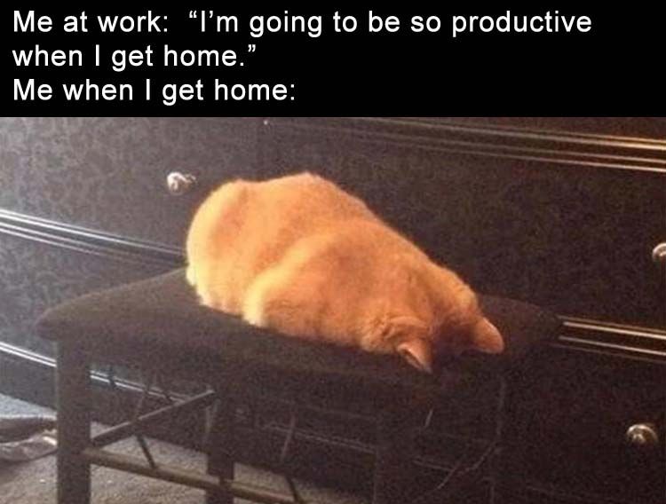 Me When I Get Home Pictures, Photos, and Images for Facebook, Tumblr ...