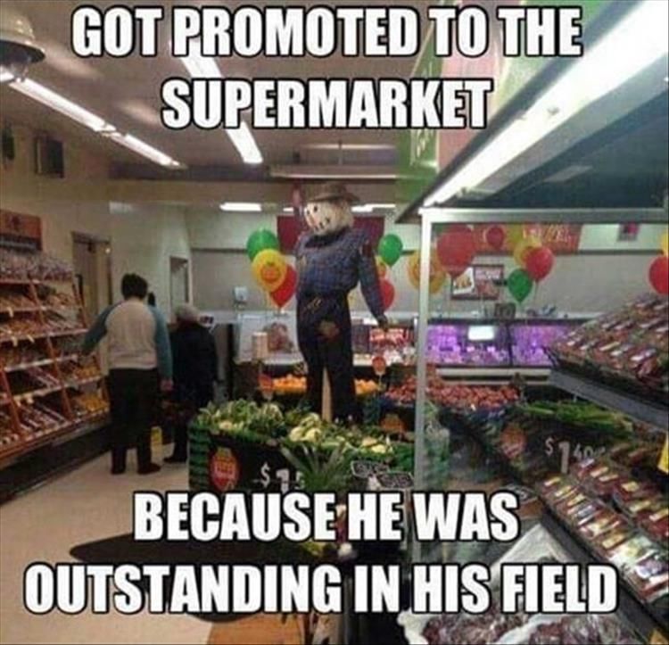 Got Promoted To The Supermarket Because He Was Outstanding In His Field ...