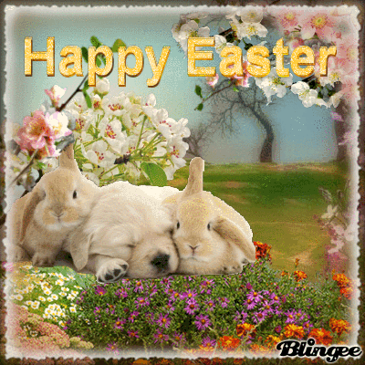 Labrador & Rabbits Easter Quotes Pictures, Photos, and Images for ...