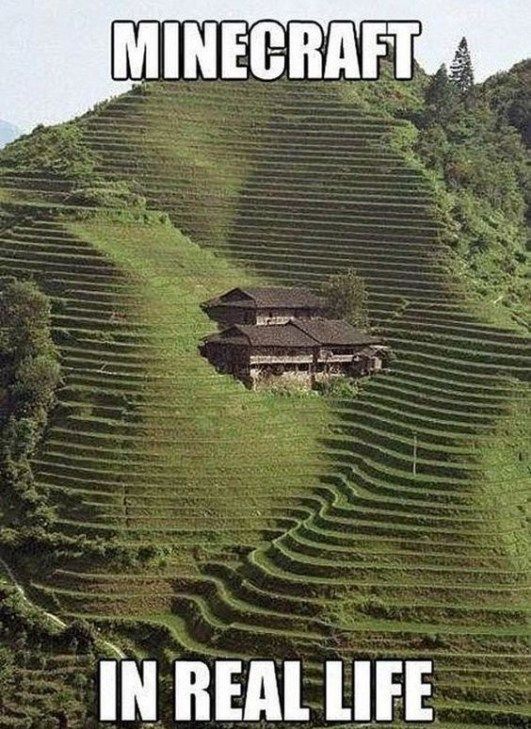 Minecraft In Real Life Pictures, Photos, and Images for Facebook ...