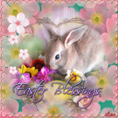 Bunny Easter Blessings Pictures, Photos, and Images for Facebook ...