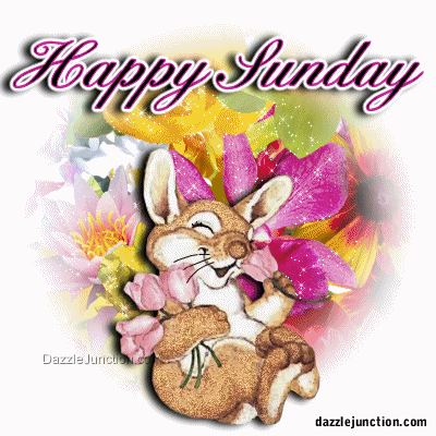 Happy Sunday Pictures, Photos, and Images for Facebook, Tumblr ...