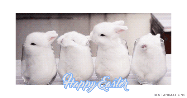 Happy Easter Pictures, Photos, and Images for Facebook, Tumblr ...