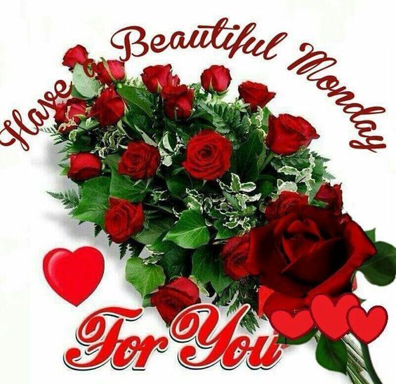 For You Have A Beautiful Monday Pictures, Photos, and Images for ...