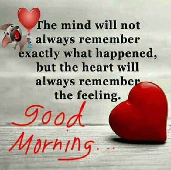 The Mind Will Not Always Remember Exactly What Happened, But The Heart ...