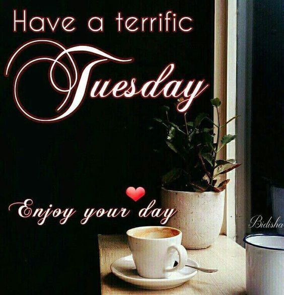 Enjoy A Terrific Tuesday Pictures, Photos, and Images for Facebook ...