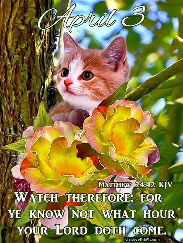 April 3 Pictures, Photos, and Images for Facebook, Tumblr, Pinterest ...