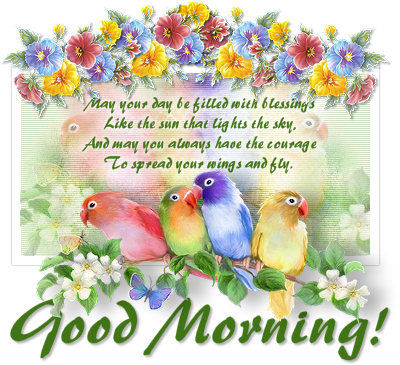 Colorful Parrot Good Morning Gif Pictures, Photos, and Images for ...