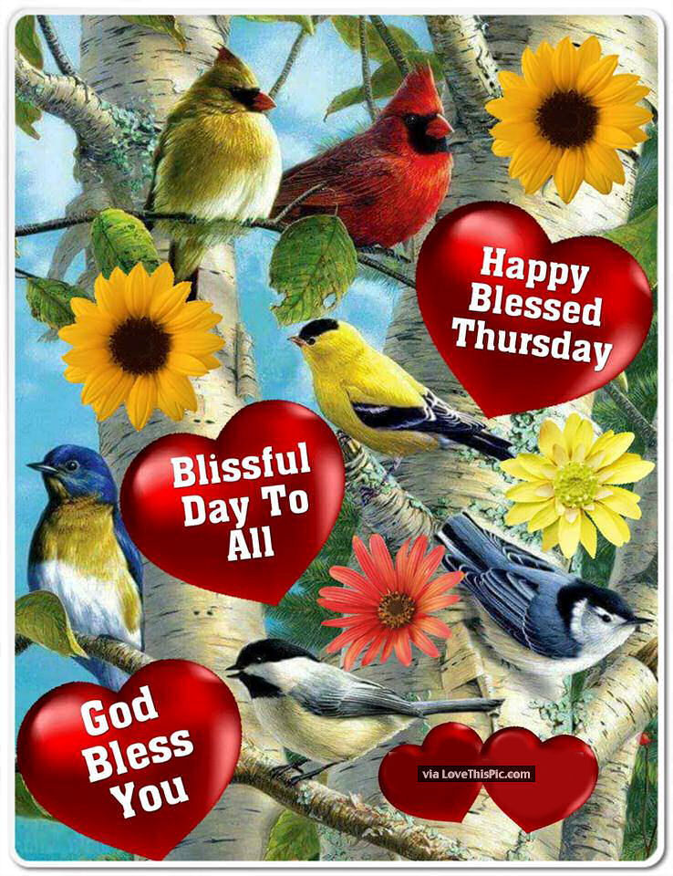 Happy Blessed Thursday Pictures, Photos, and Images for Facebook ...