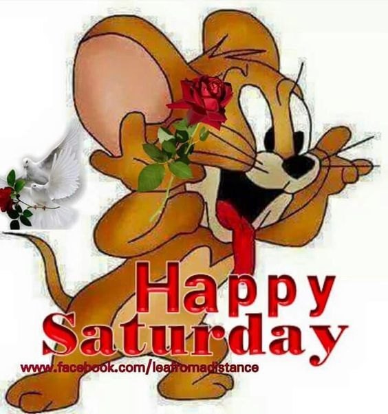 Jerry Happy Saturday Pictures, Photos, and Images for Facebook, Tumblr ...