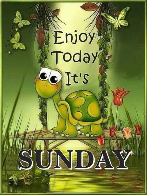 Enjoy Today, Its Sunday Pictures, Photos, and Images for Facebook ...