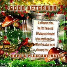 Have A Pleasant Day, Good Afternoon Pictures, Photos, and Images for ...