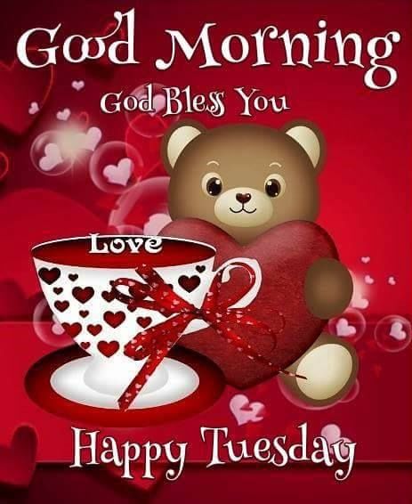 Bear Of Love Happy Tuesday Morning Image Pictures, Photos, and Images ...