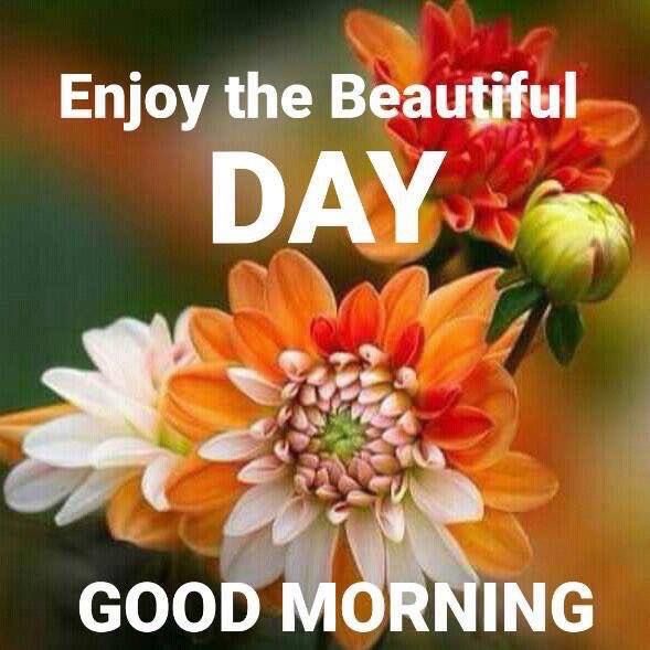 Enjoy The Beautiful Day, Good Morning Pictures, Photos, and Images for ...
