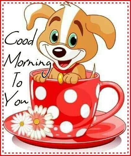 Good Morning To You Pictures, Photos, and Images for Facebook, Tumblr ...