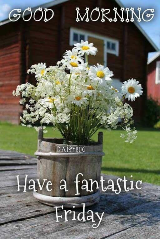 Have A Fantastic Friday, Good Morning Pictures, Photos, and Images for ...