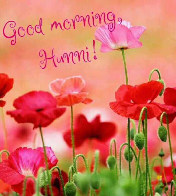 Good Morning Hunni Pictures, Photos, and Images for Facebook, Tumblr ...