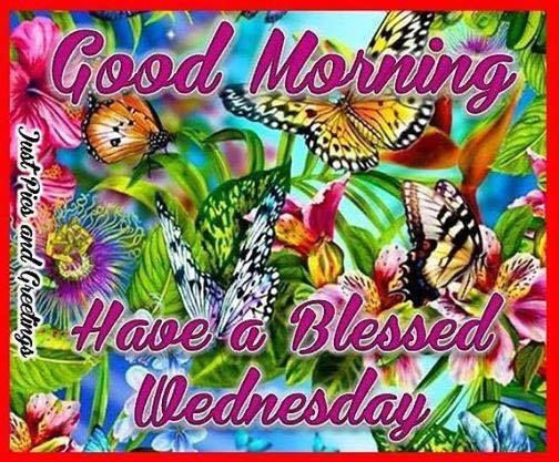 Blessed Butterfly Wednesday Pictures, Photos, and Images for Facebook ...