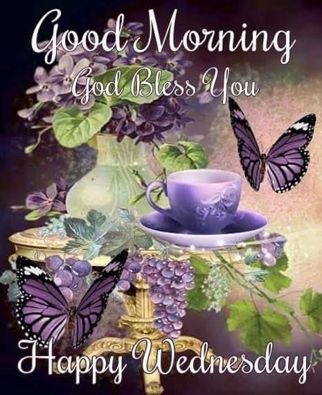 Violet Butterfly Happy Wednesday Good Morning Pictures, Photos, and ...