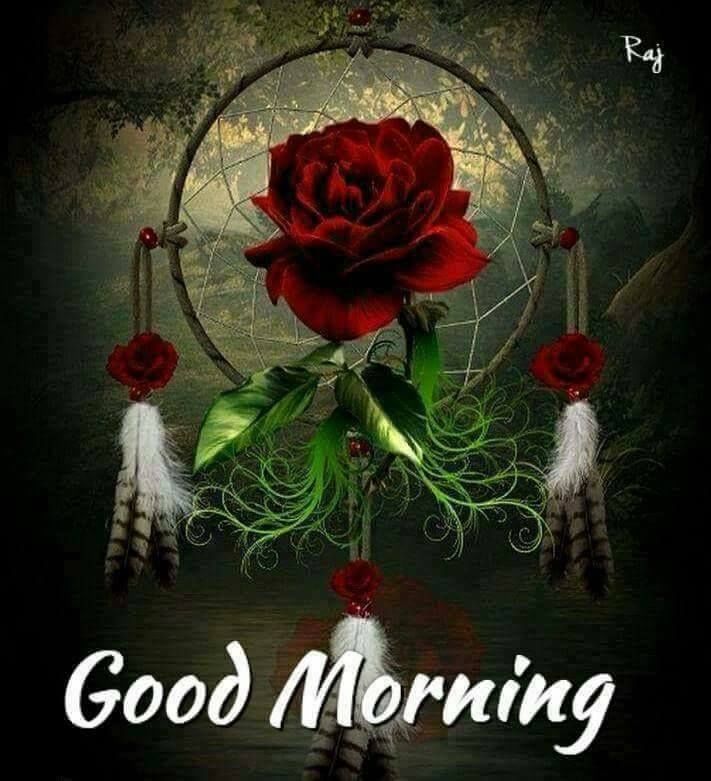 Rose Dreamcatcher Good Morning Image Pictures, Photos, and Images for ...