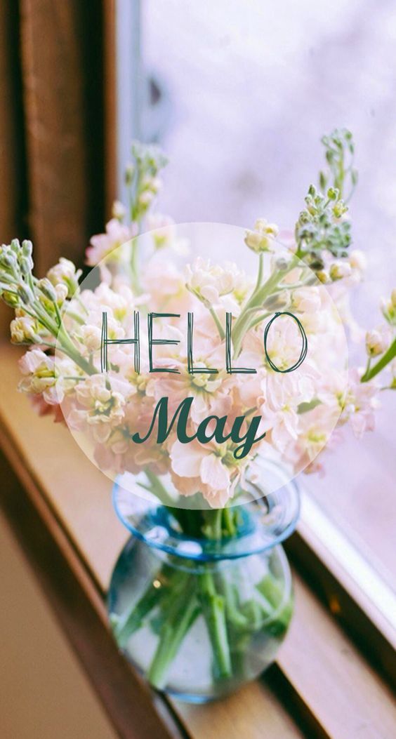 Vase Hello May Image Pictures, Photos, and Images for Facebook, Tumblr ...