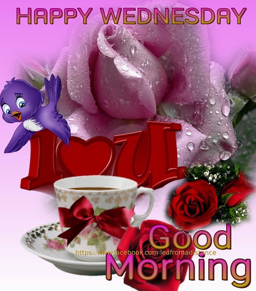 I Love You, Good Morning Happy Wednesday Pictures, Photos, and Images ...