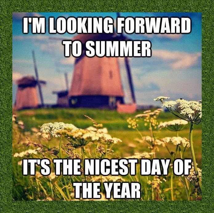 I'm Looking Forward To Summer, It's The Nicest Day Of The Year Pictures ...