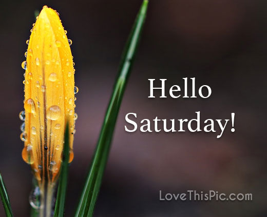 Hello Saturday Pictures, Photos, and Images for Facebook, Tumblr ...