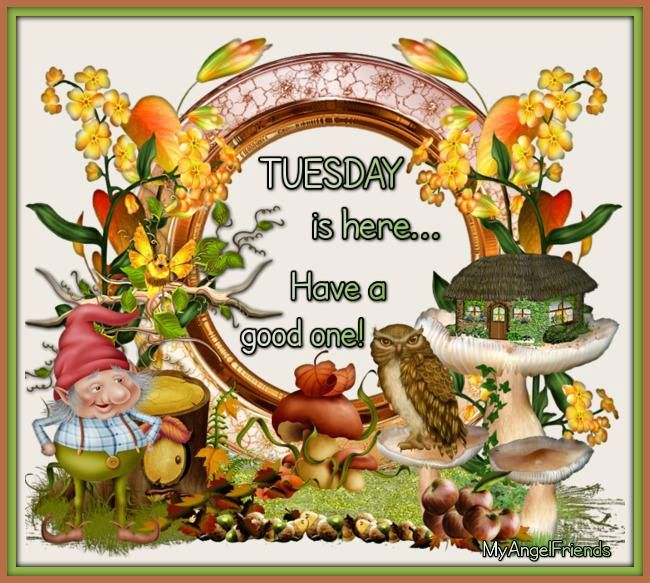 Tuesday Is Here...have A Good One! Pictures, Photos, and Images for ...