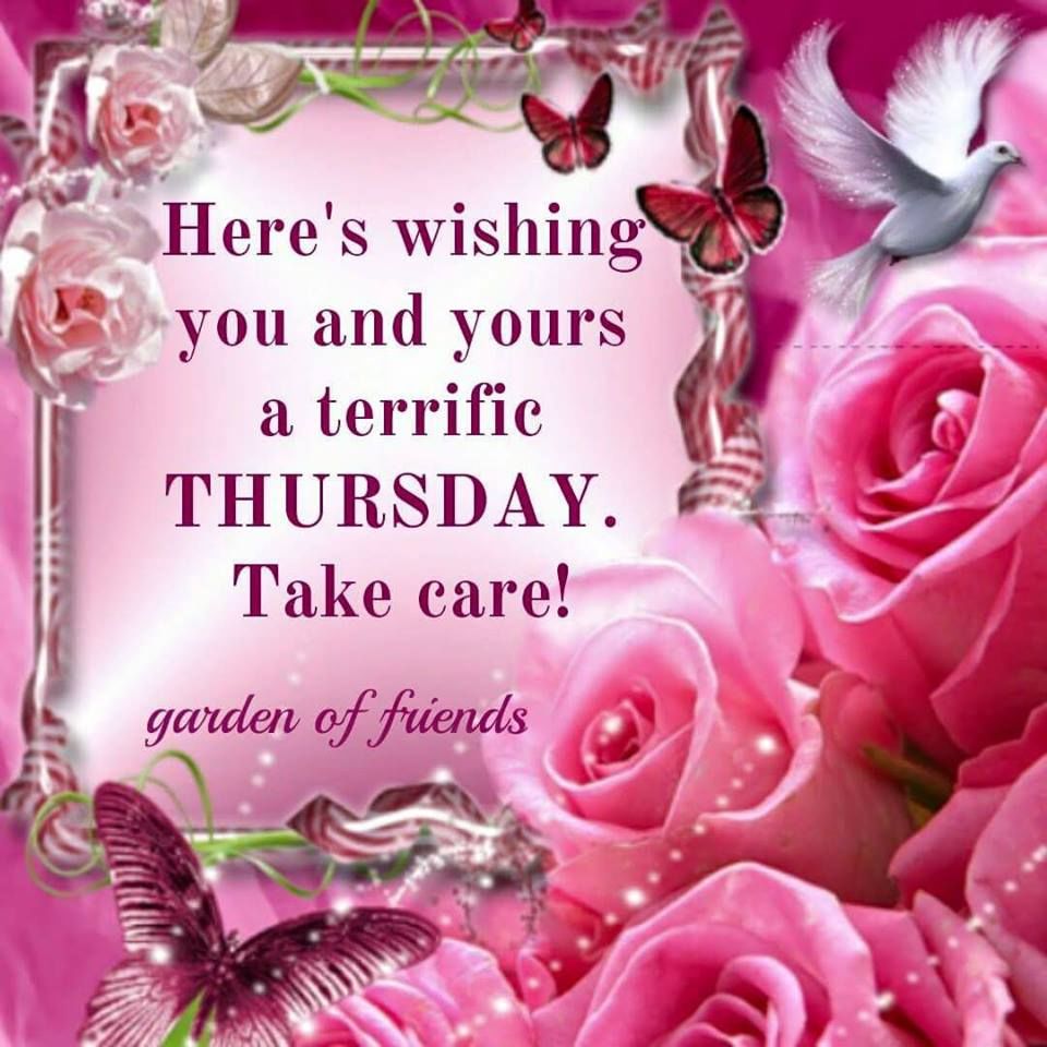 Here's Wishing You And Yours A Terrific Thursday. Take Care! Pictures ...