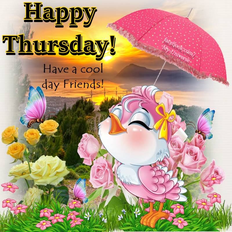 Happy Thursday! Have A Cool Day Friends Pictures, Photos, and Images ...
