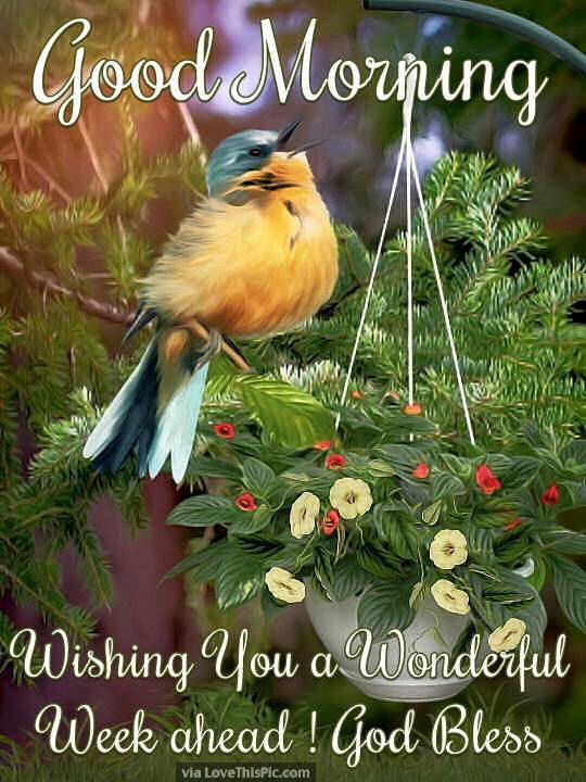 Good Morning Wishing You A Wonderful Week Ahead Pictures Photos And