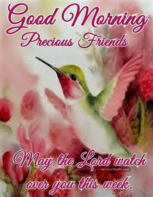 Good Morning Precious Friends Pictures, Photos, and Images for Facebook ...