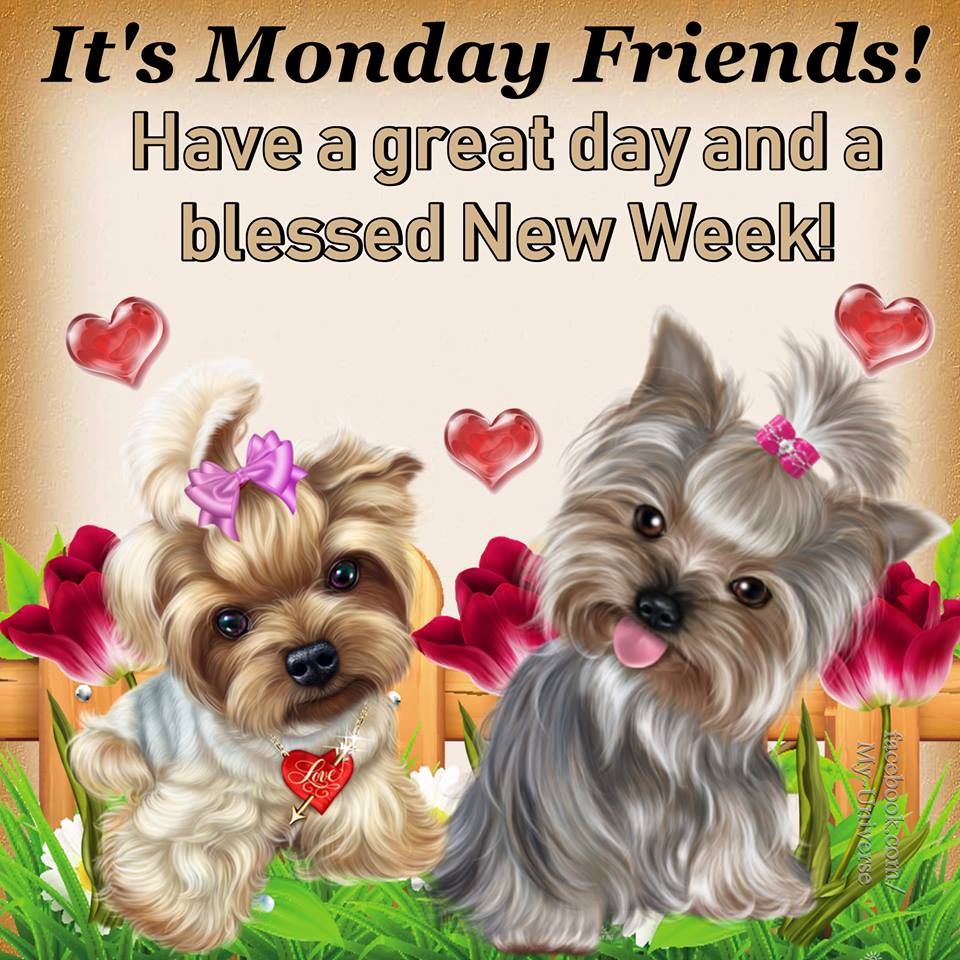 It's Monday Friends! Have A Great Day And A Blessed New Week! Pictures ...