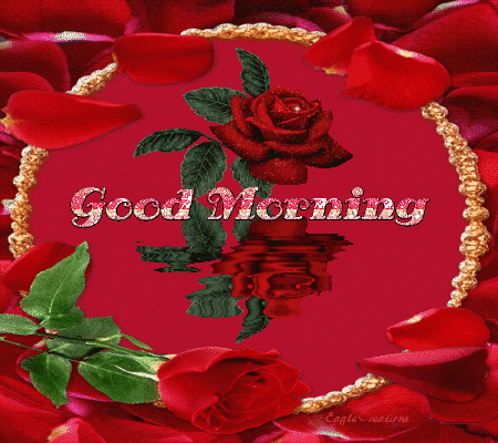 Sparkling Rose Good Morning Pictures, Photos, and Images for Facebook ...