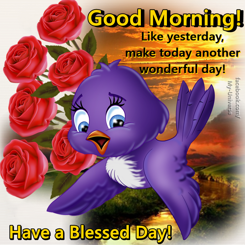 Like Yesterday, Make Today Another Wonderful Day! Pictures, Photos, and ...