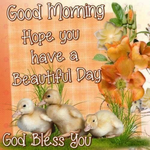 Ducks Good Morning Hope You Have A Beautiful Day. God Bless You ...