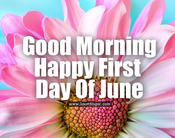 Light Pink Good Morning Happy First Day Of June Flora Image Pictures ...