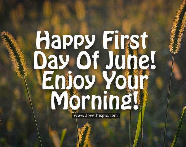 Happy First Day Of June! Enjoy Your Morning! Pictures, Photos, and ...