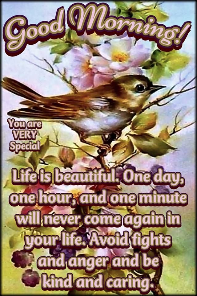 Life Is Beautiful. Good Morning! Pictures, Photos, and Images for ...