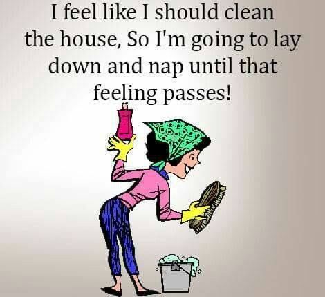 I Feel Like I Should Clean The House, So Im Going To Lay Down Until ...