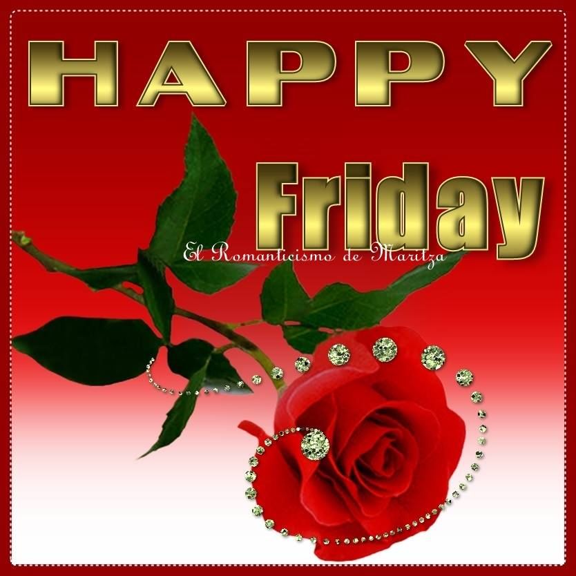 Rose Happy Friday Pictures, Photos, and Images for Facebook, Tumblr ...