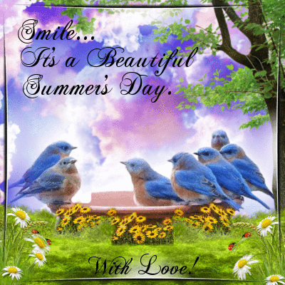 Smile...It's A Beautiful Summer's Day With Love! Pictures, Photos, and ...