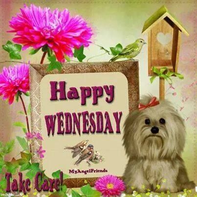 Cute Doggy Happy Wednesday Image Pictures, Photos, and Images for ...